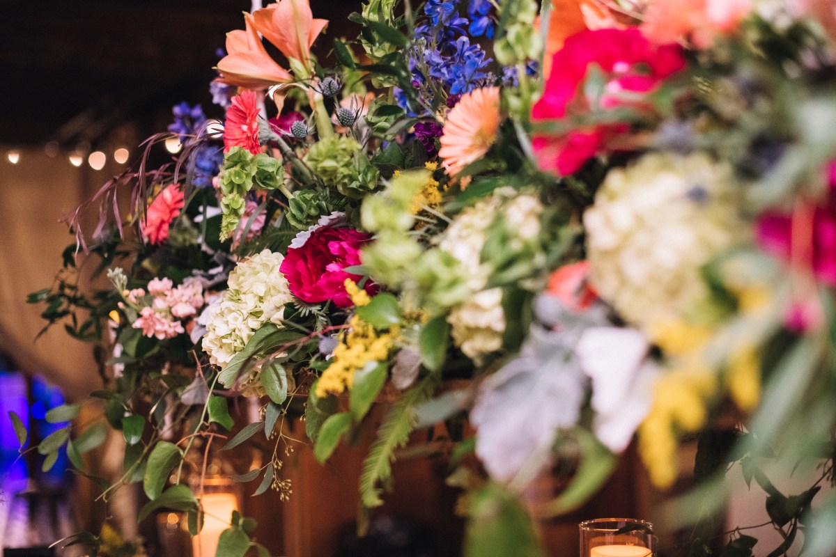 The Haight BlogFlorals & Flurries Open Housemaking any occasion ...